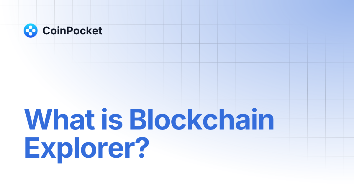 What is Blockchain Explorer? | CoinPocket